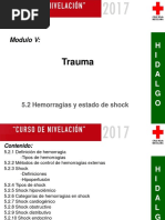 Dcap BLS Tic | PDF