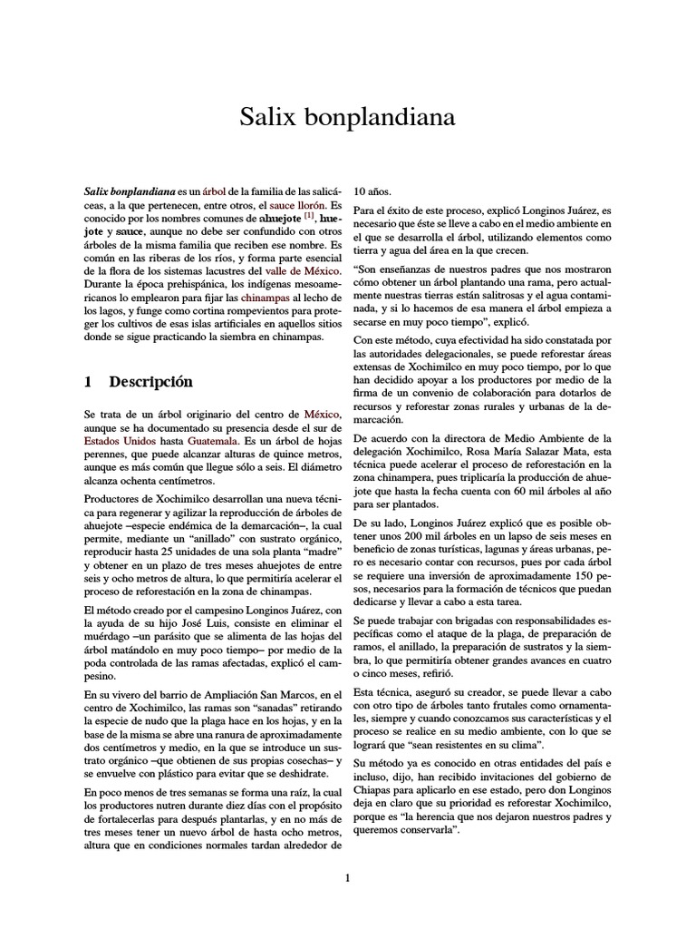 Salix Bonplandiana | PDF | Botánica | Arboles