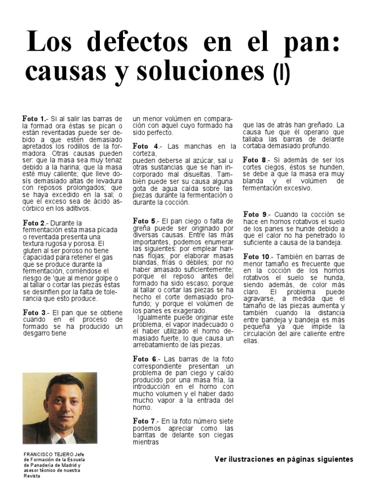 Causas y soluciones de defectos en pan | PDF | Panes | Comidas fermentadas