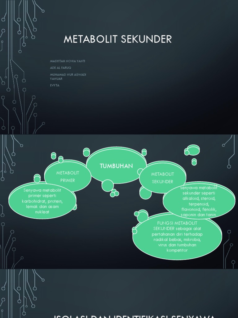 Metabolit Sekunder | PDF