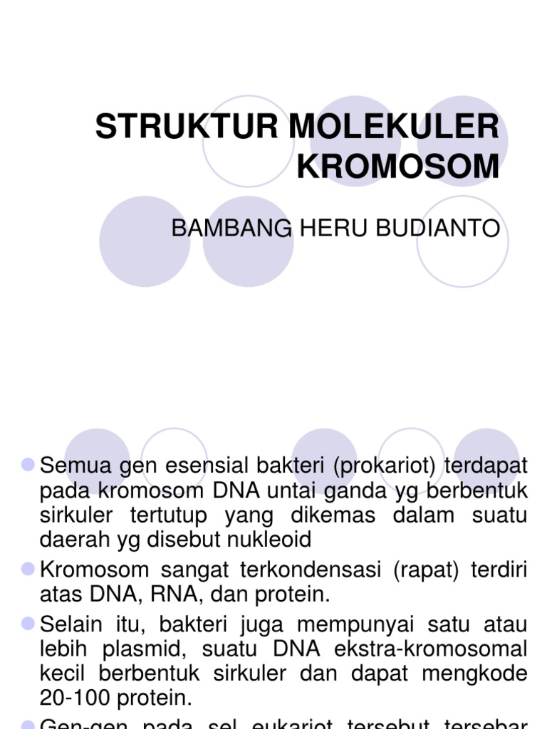 Struktur Kromosom dan DNA Eukariot | PDF | Kesehatan Holistik