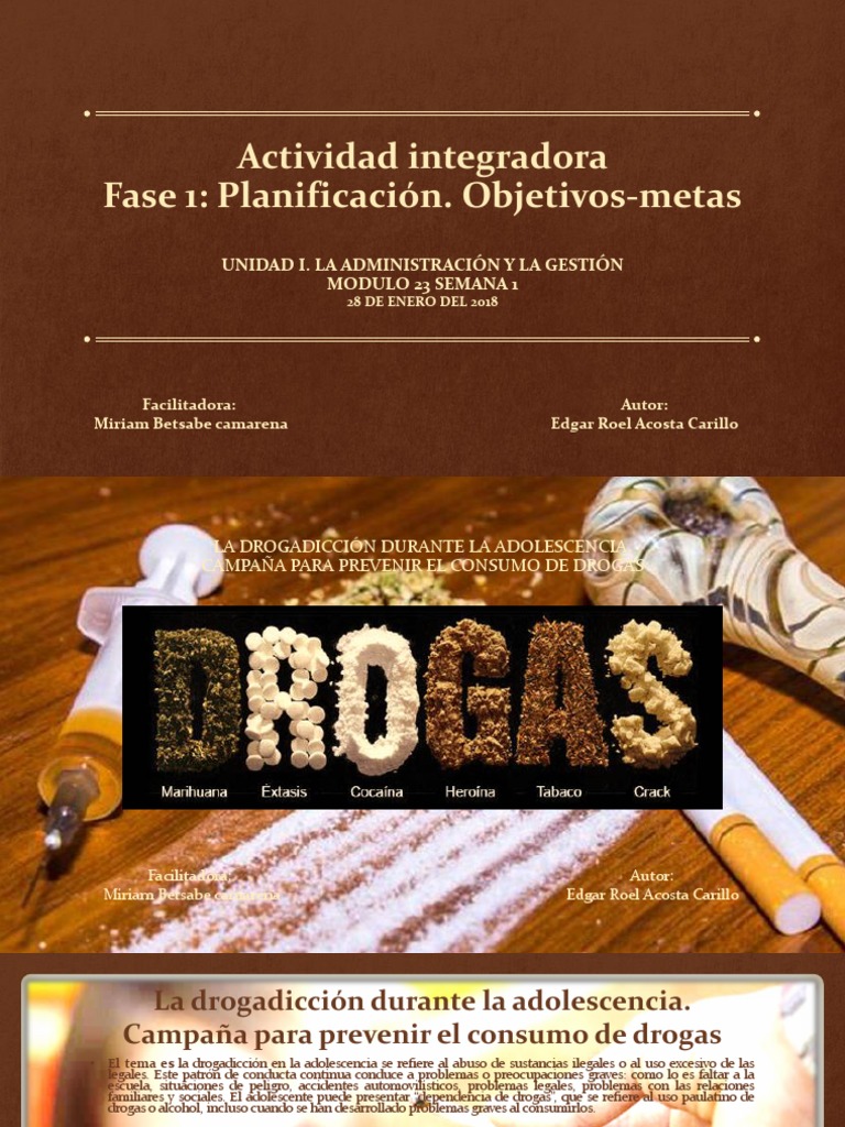 Actividad Integradora Planificación y Objetivos M23S1A1 | PDF | La dependencia de sustancias ...
