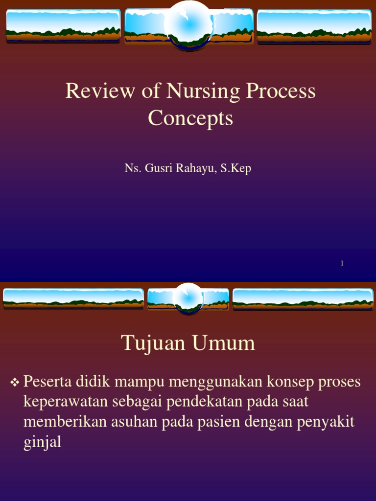 Nursing Process Pdf