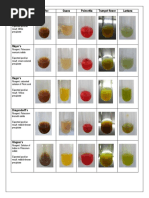 Salkowski Test & Conclusion | PDF | Sulfuric Acid | Acid
