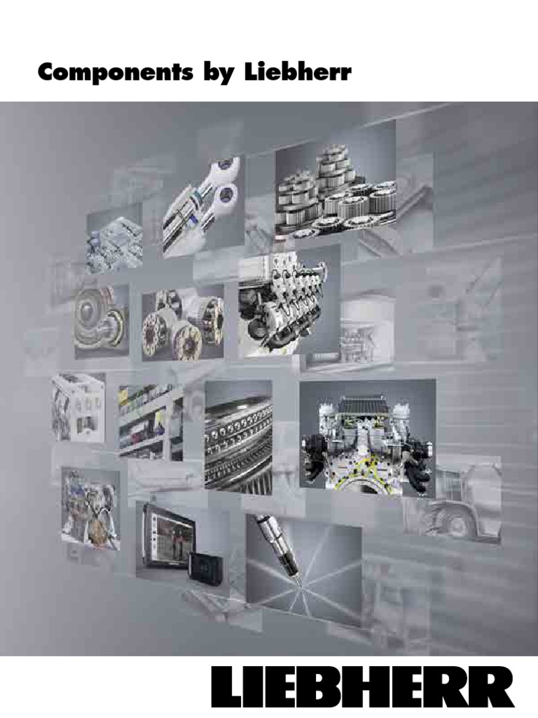 Liebherr Components | PDF | Fuel Injection | Engines