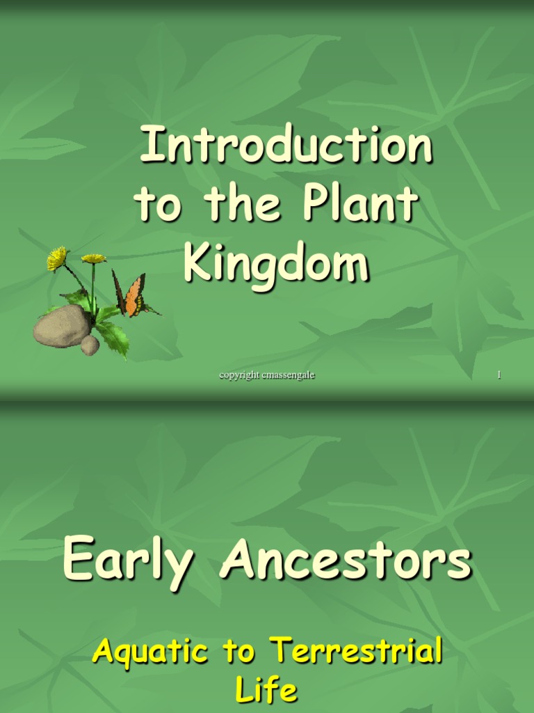 Introduction To Plants | PDF | Biological Interactions | Plants