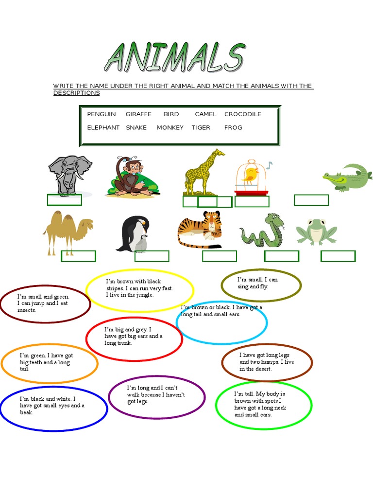 Animal Descriptions and Matching Game | PDF