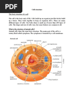 Calculating Microscope Field Diameter | PDF | Lens (Optics) | Optics
