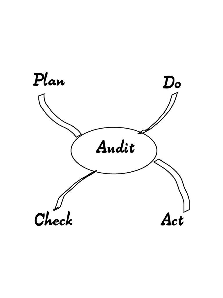 Pdca Audit | PDF