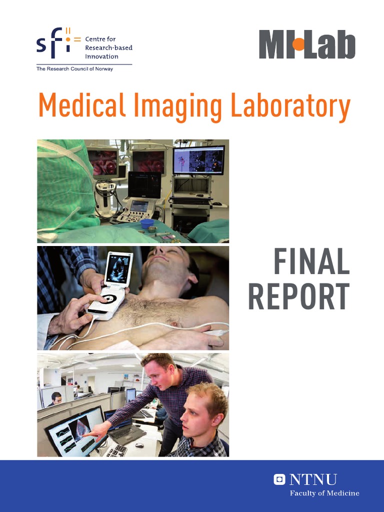 MILab FinalReport Web | PDF | Medical Ultrasound | Medical Imaging