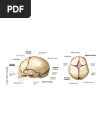 Ore Part 1 Study Plan | PDF | Dentistry