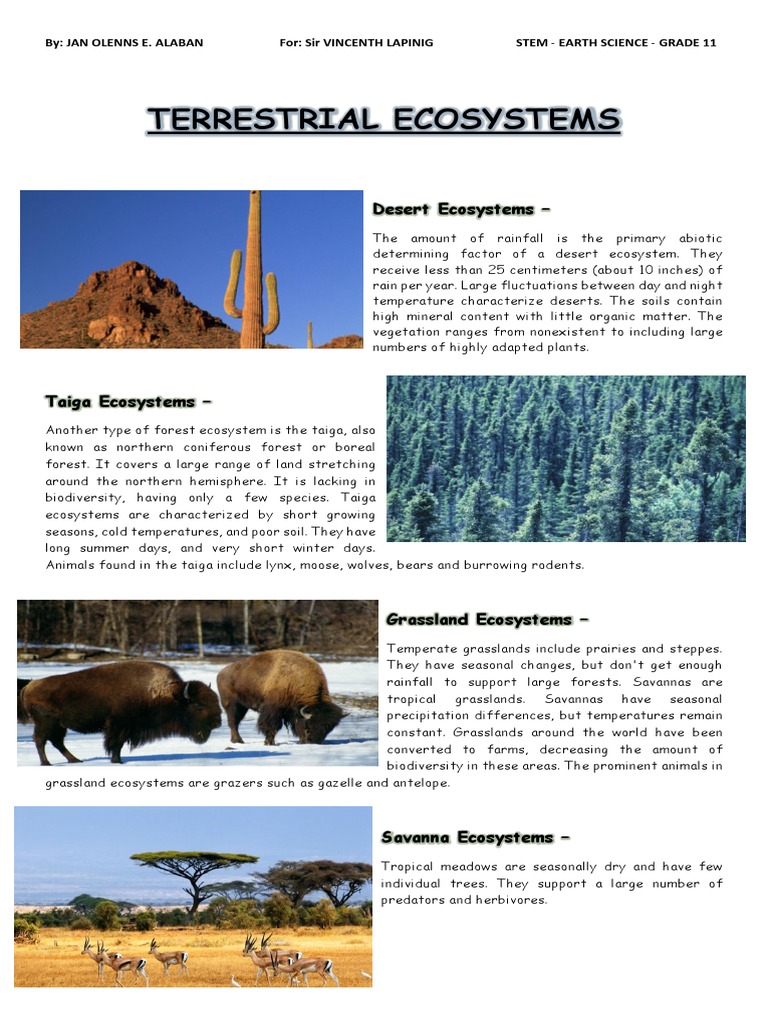 Terrestrial Ecosystem Homework | PDF | Grassland | Forests