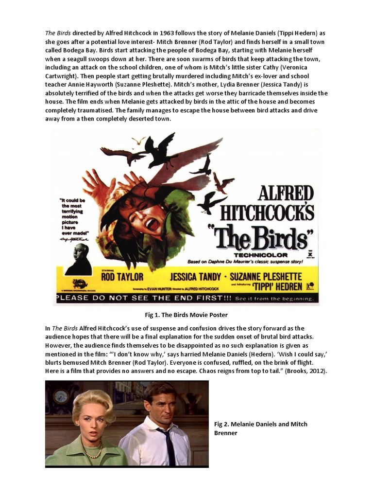 The Birds | PDF | Psychology