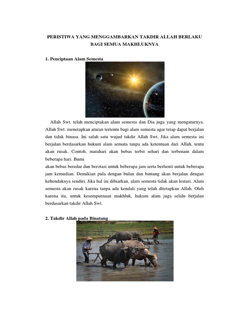 PERISTIWA YANG MENGGAMBARKAN TAKDIR ALLAH BERLAKU BAGI SEMUA MAKHLUKNYA ...