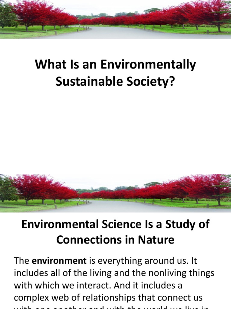 Understanding Sustainable Societies | PDF | Sustainability | Resource