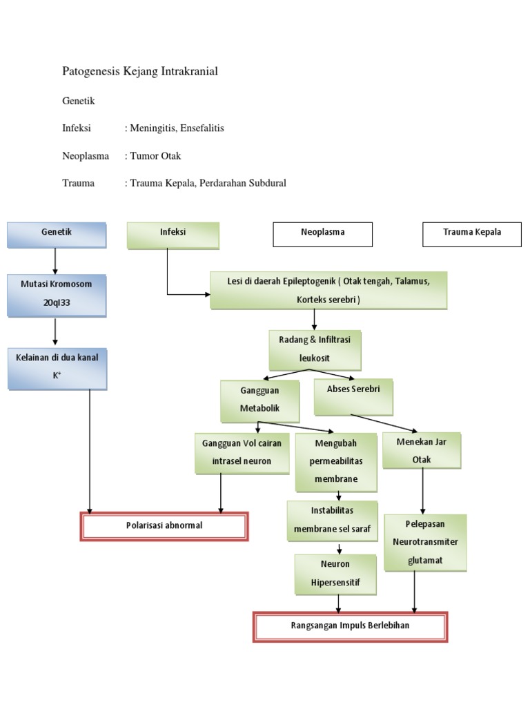 Patogenesis Kejang Intrakranial | PDF