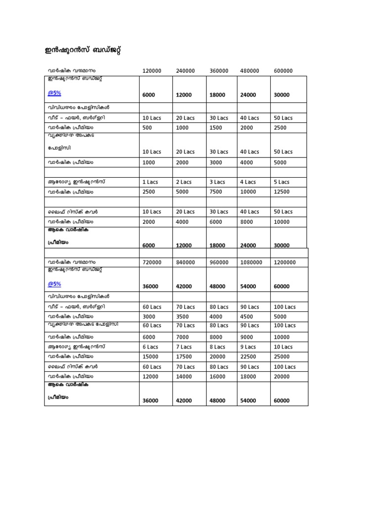 Insurance Budget Breakdown | PDF