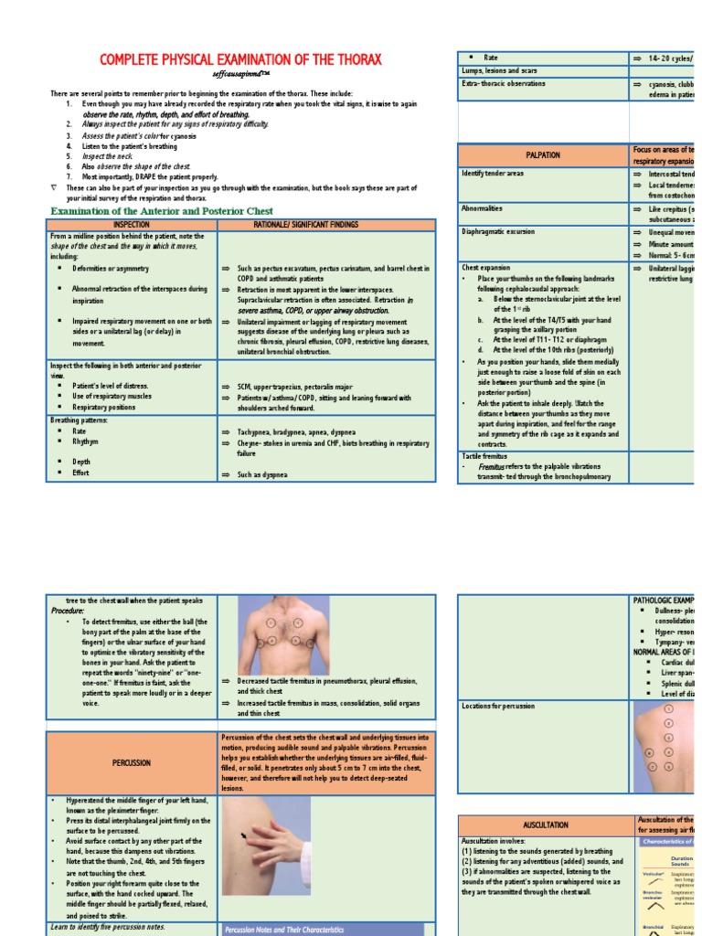 Physical Diagnosis of The Thorax | PDF | Thorax | Respiratory Tract