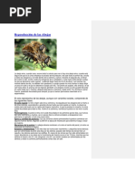 Triptico de La Abeja | Abejas | Insectos