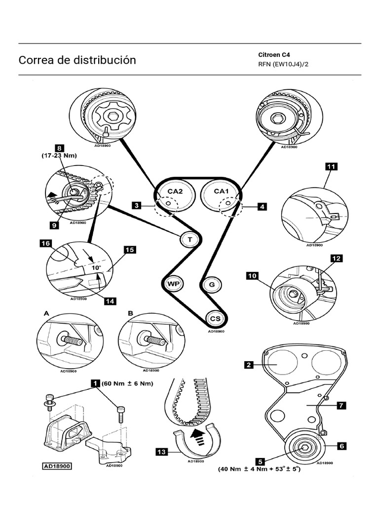 Distribucion C4 | PDF