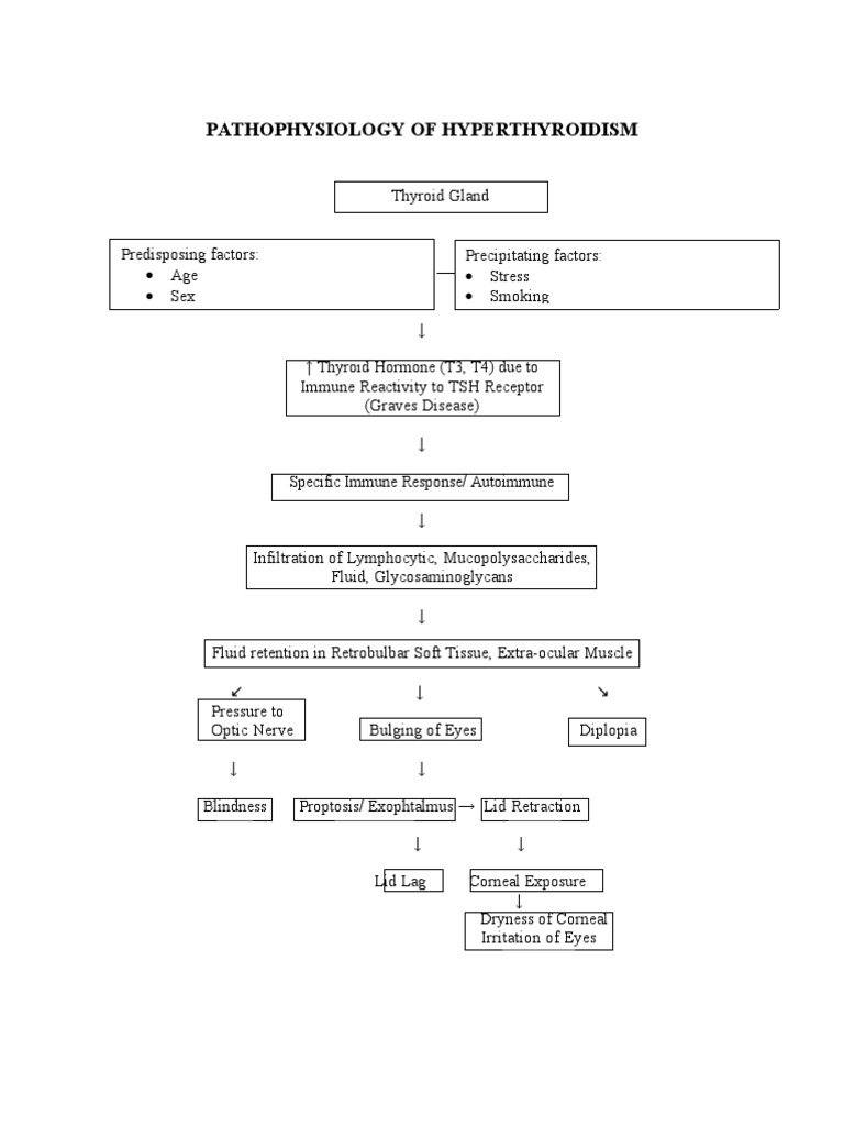 Pathophysiology of Hyperthyroidism | PDF | Thyroid Disease | Thyroid