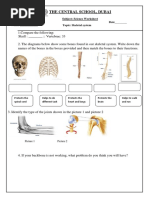 Student Skeletal System Exam Questions | PDF | Skeleton | Bone