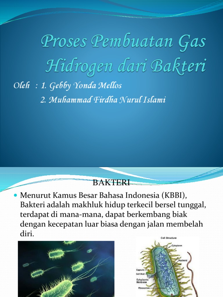 Proses Pembuatan Gas Hidrogen Dari Bakteri | PDF