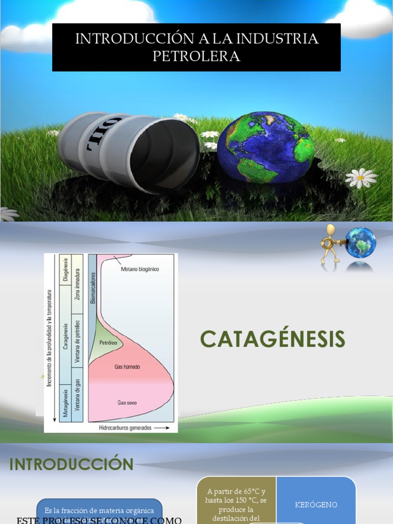 Int - Petrolera Uni 1 Catagenesis | PDF | Destilación | Compuestos ...