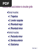 Hip Examination - OSCE Guide - Geeky Medics | PDF | Anatomical Terms Of ...