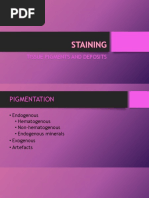 Stool Concentration Method | PDF | Human Feces | Staining