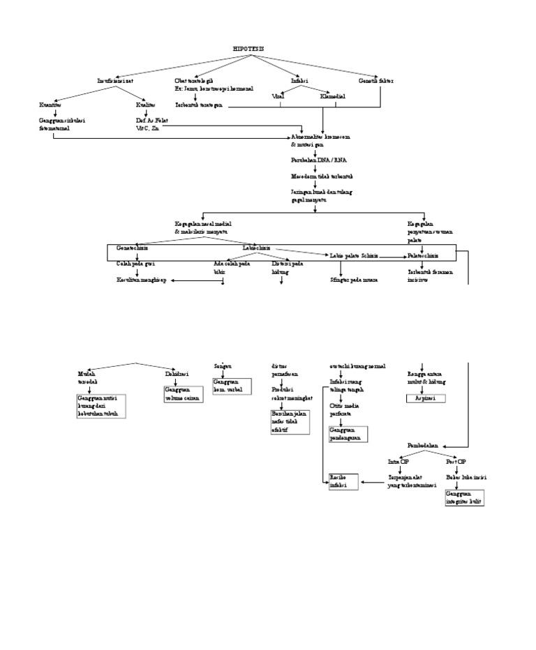 WOC Labiopalatoschisis | PDF