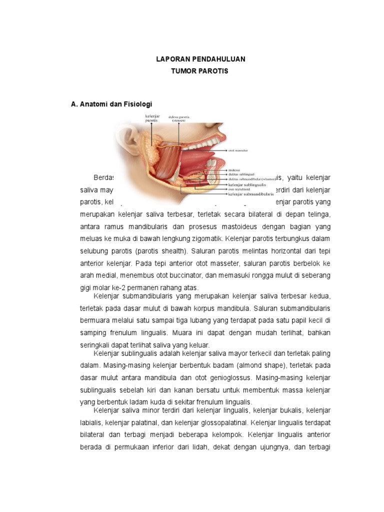 LP Tumor Parotis | PDF