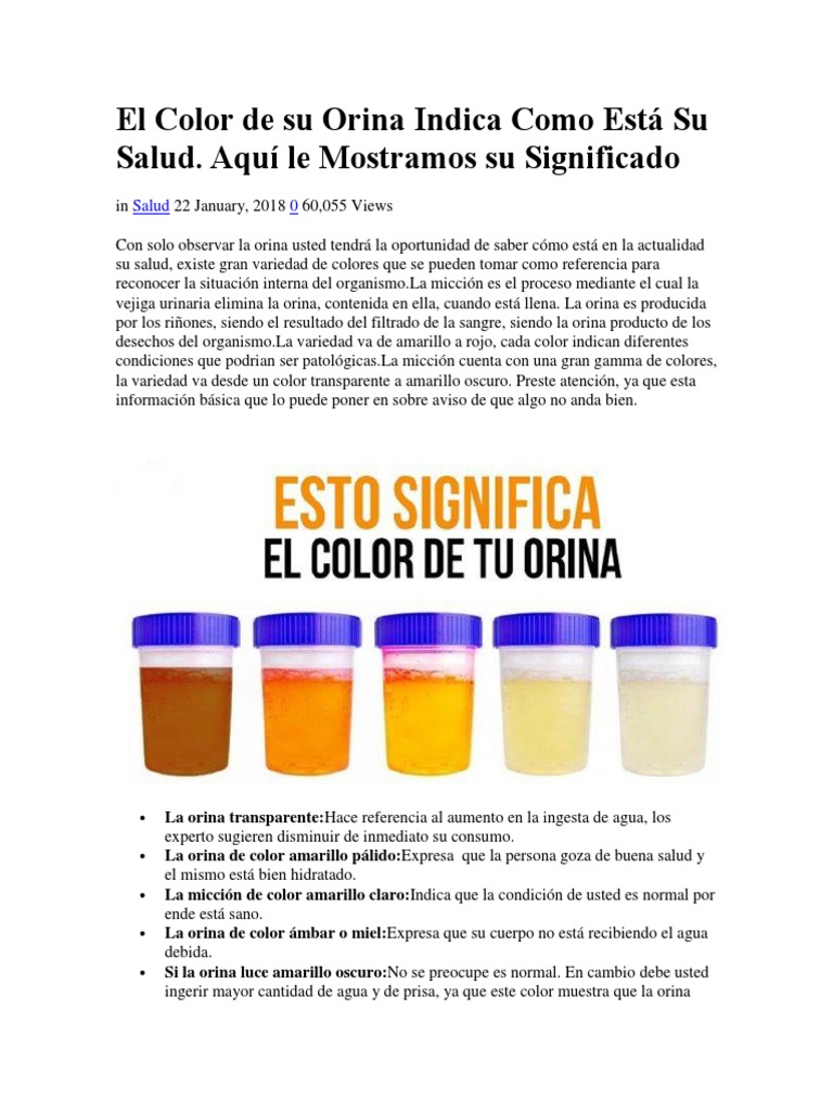 El Color de Su Orina Indica Como Está Su Salud | PDF | Orina | Sistema ...