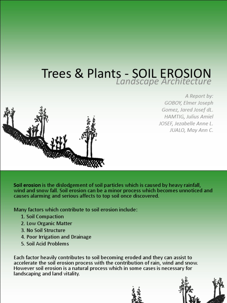 Erosion Control with Trees and Plants | PDF | Mulch | Soil