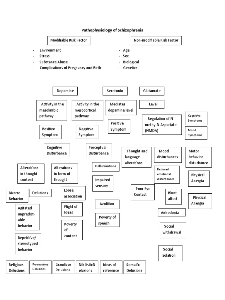 Pathophysiology of Schizophrenia | PDF | Schizophrenia | Abnormal ...