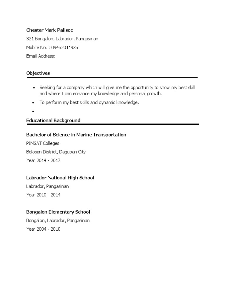 Chester Mark Palisoc | PDF