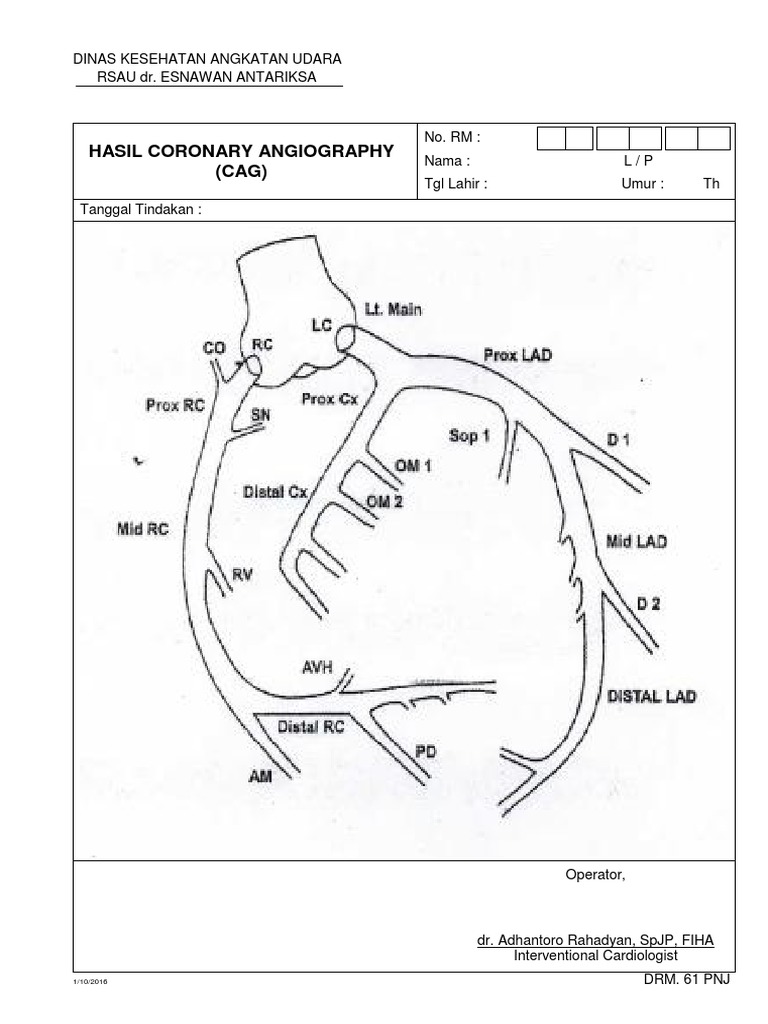 Hasil Coronary Angiography (Cag) | PDF