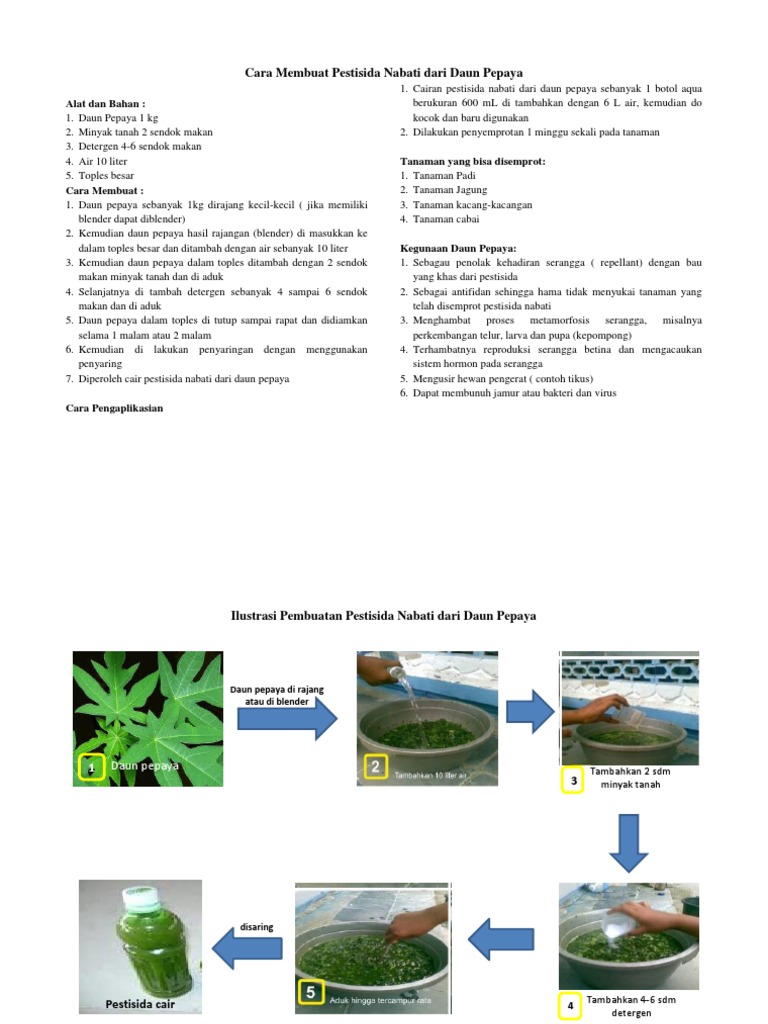 Cara Membuat Pestisida Nabati Dari Daun Pepaya Cara Membuat Pestisida Nabati Dari Daun Pepaya