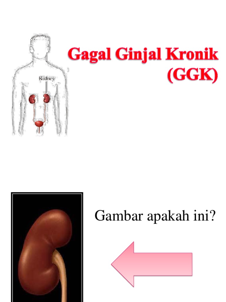 Penyuluhan CKD | PDF