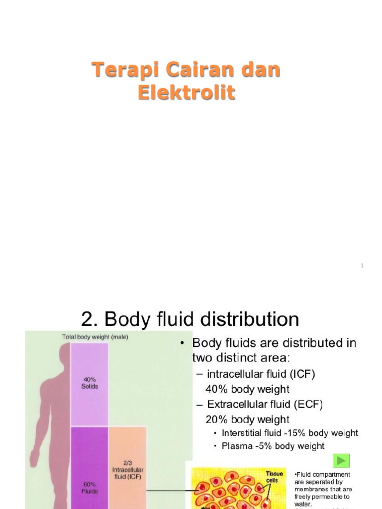 Terapi Cairan dan Elektrolit | PDF