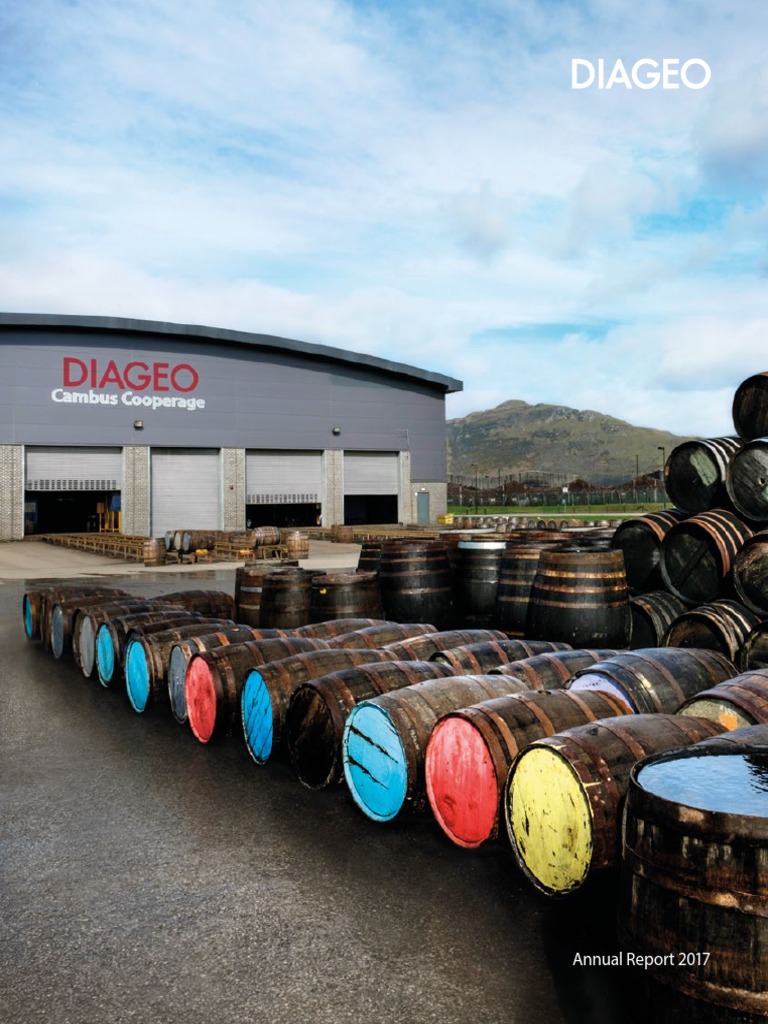 Diageo 2017 Annual Report | PDF | International Financial Reporting ...