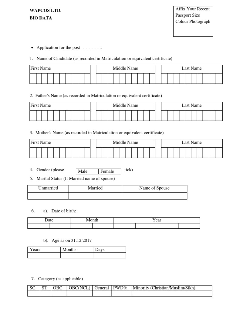 CV Format PDF Government Business