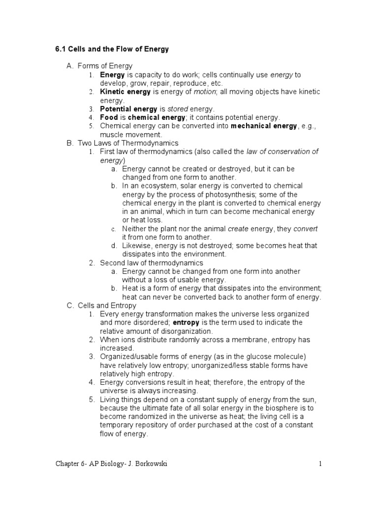 AP Biology Lecture Outline 6 | PDF | Electron Transport Chain | Enzyme
