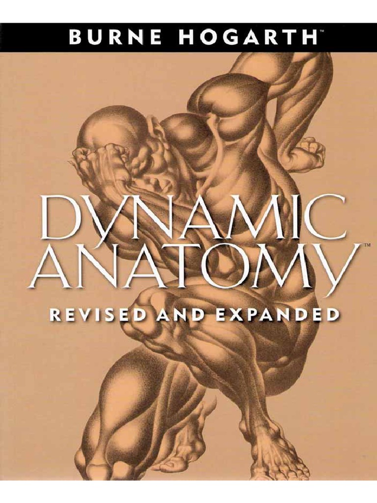 Dynamic Anatomy | PDF