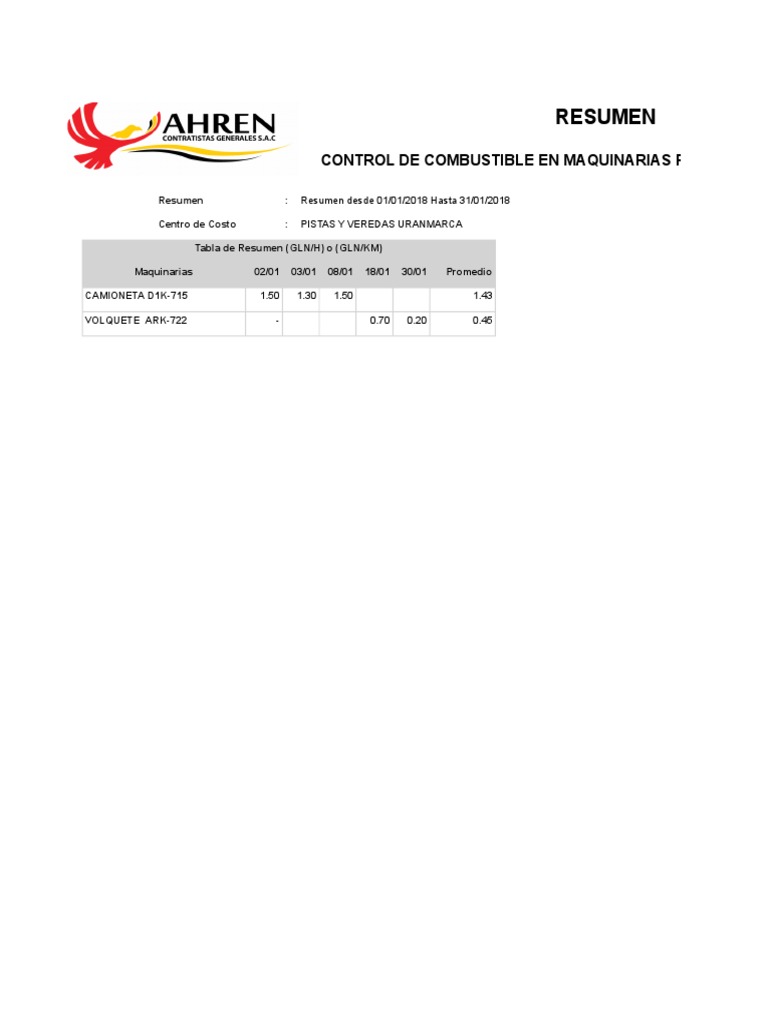 Get Resume N Vale Combustible Excel | PDF