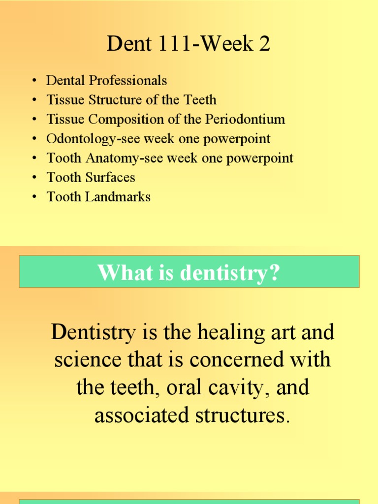 Dent 111-Week 2 | PDF | Dentistry | Human Tooth