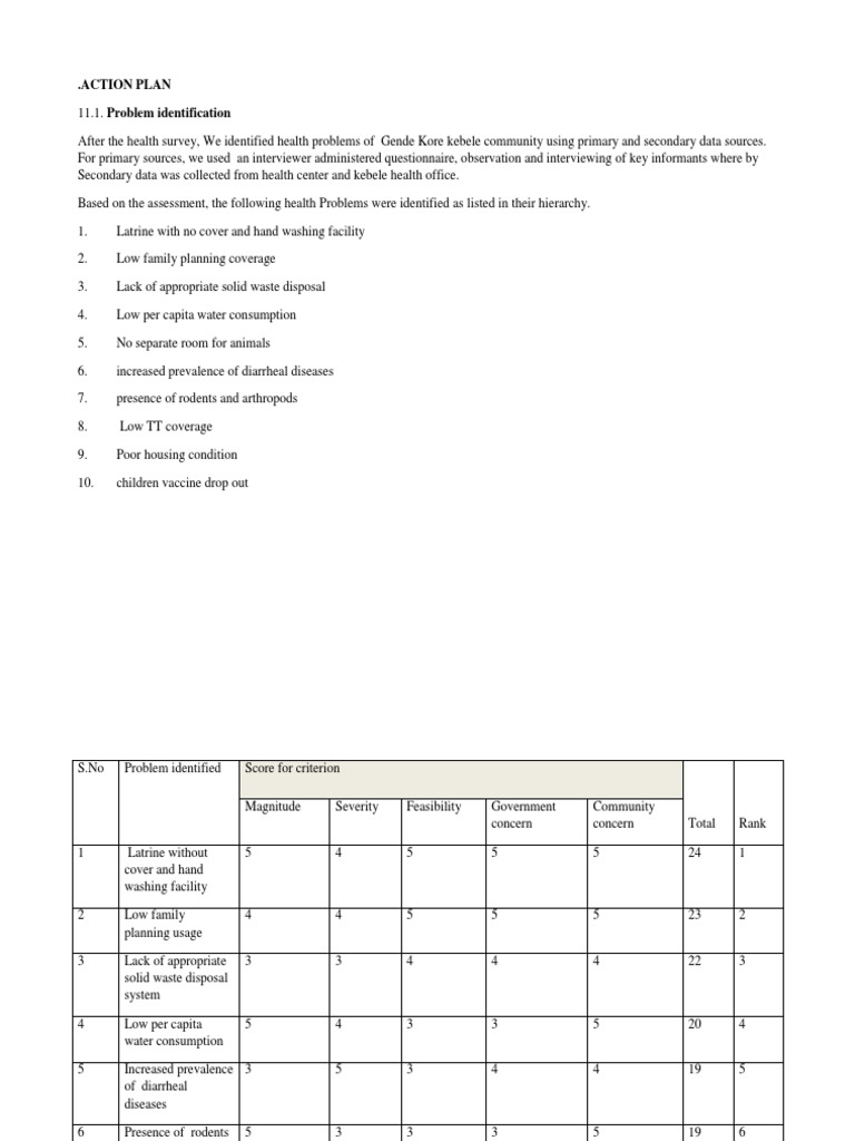 Action Plan | PDF | Tuberculosis | Sanitation