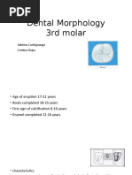 Sample Odontogram Description of Charting Symbols | PDF