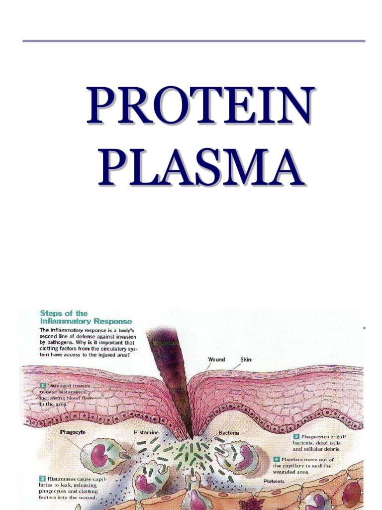 Protein Plasma | PDF