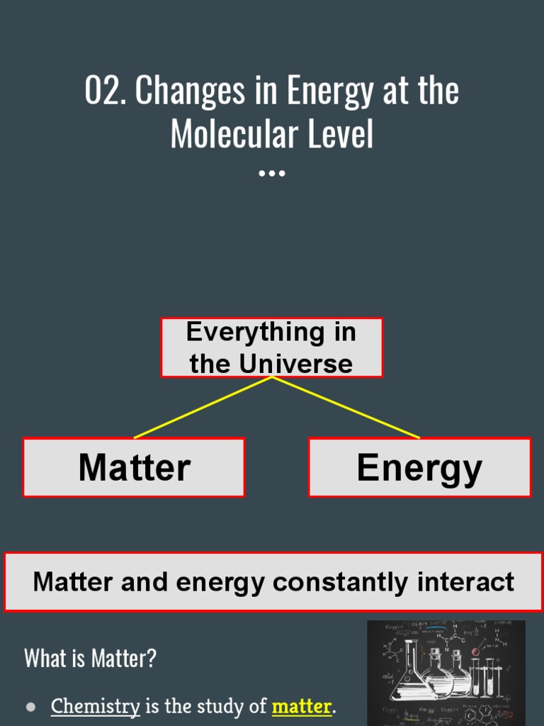 Changes in Energy at The Molecular Level | PDF